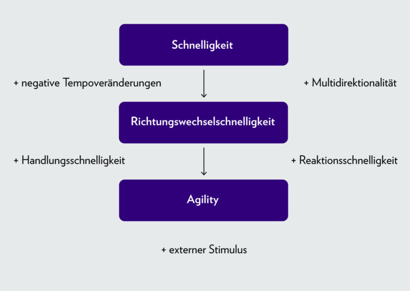 Agility-Training • Leistungslust